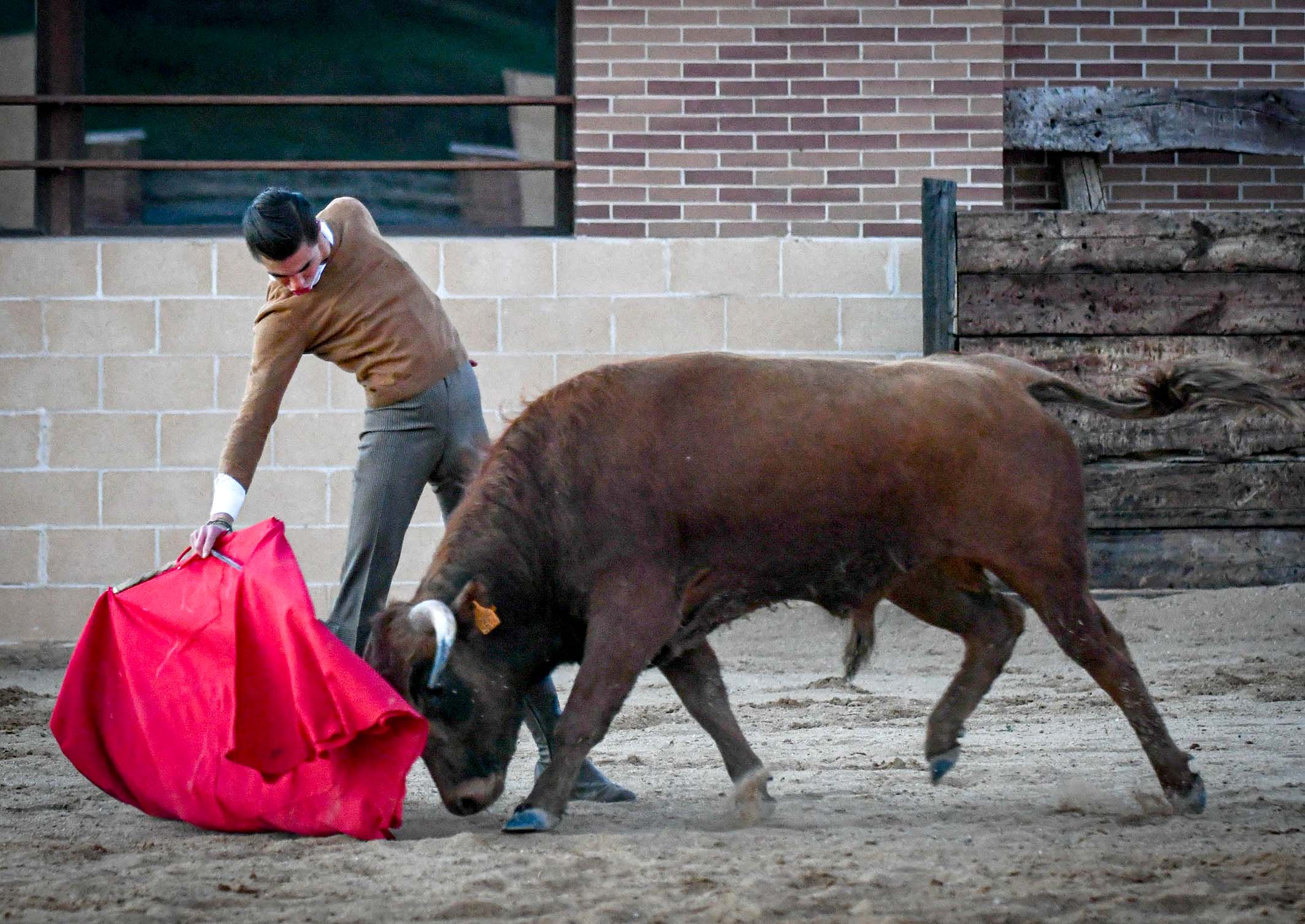 Bruno Aloi regresa de España para torear este sábado en Aguascalientes ...