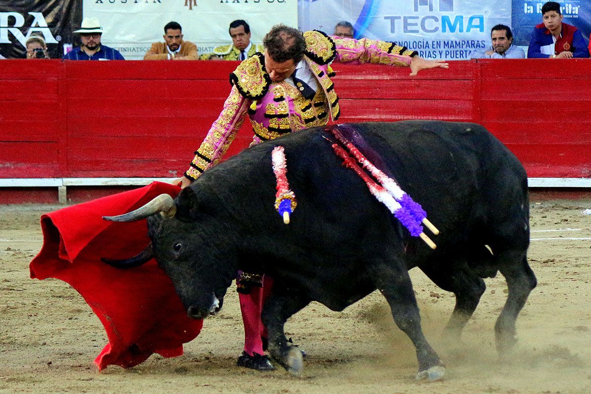 Ferrera, El Zapata y Tarik Othon pasean oreja en León, Gto. - Guarismo ...